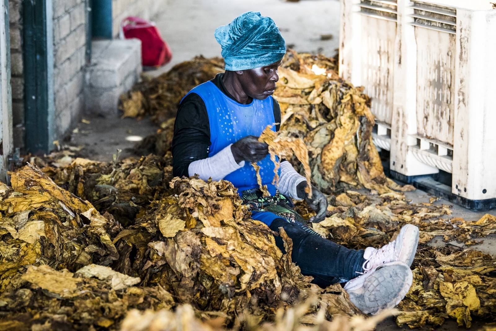 Multibillion-dollar tobacco giant shuts South African factory as ...
