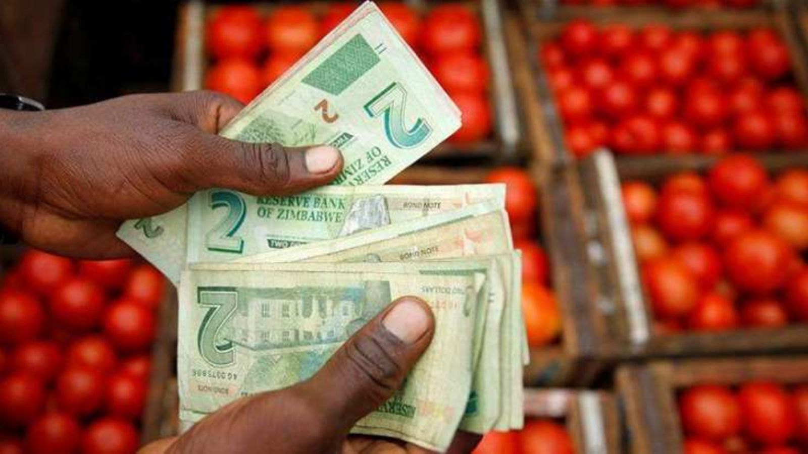 Zimbabwe inflation falls to single digits for first time in nearly ...