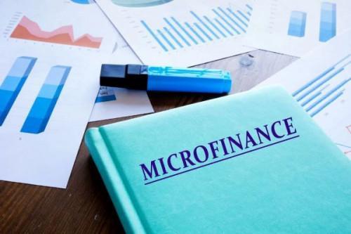 Cameroon’s microfinance sector counts 385 licensed lenders, extending ...