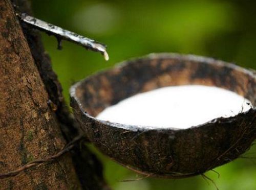 Global natural rubber market faces 400,000-ton shortfall, prices ...