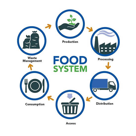 How food system transformation could reshape the continent’s economic ...